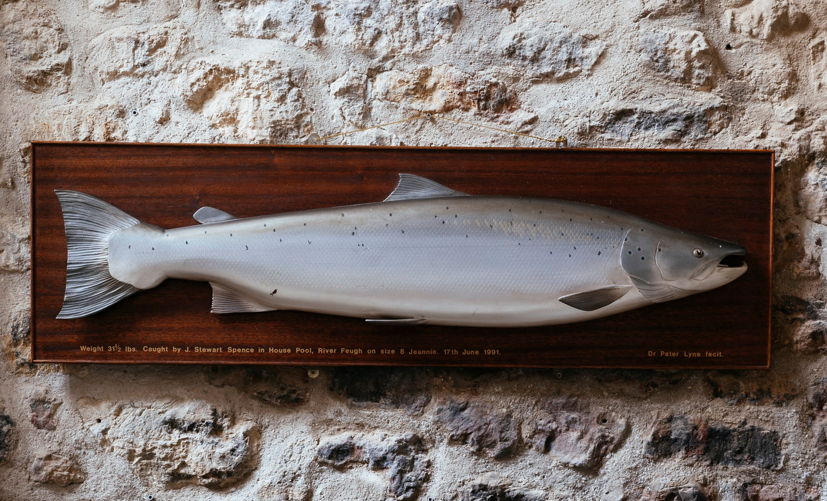 River Feugh Mounted Salmon Trophy – Studio Hám